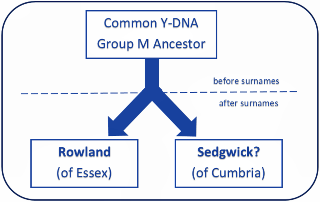 Rowland DNA Group M Update - Rowland Genealogy